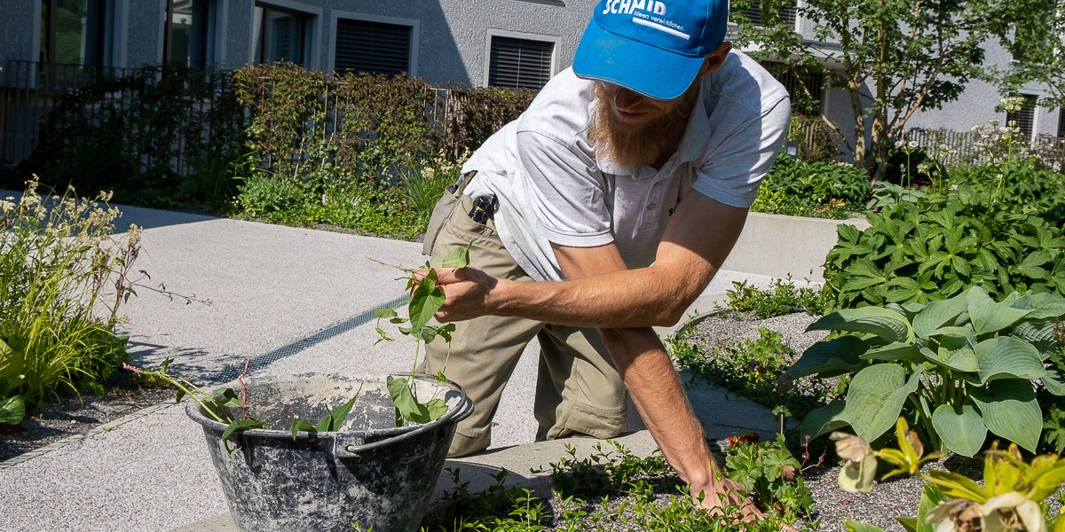 Gartenbau – Schmid Bauunternehmung AG